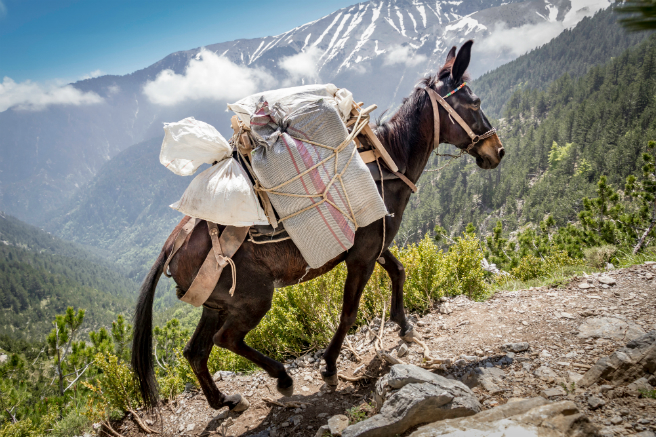 Putting An End To Taking On Other People's "Stuff" - Spherical Luminosity