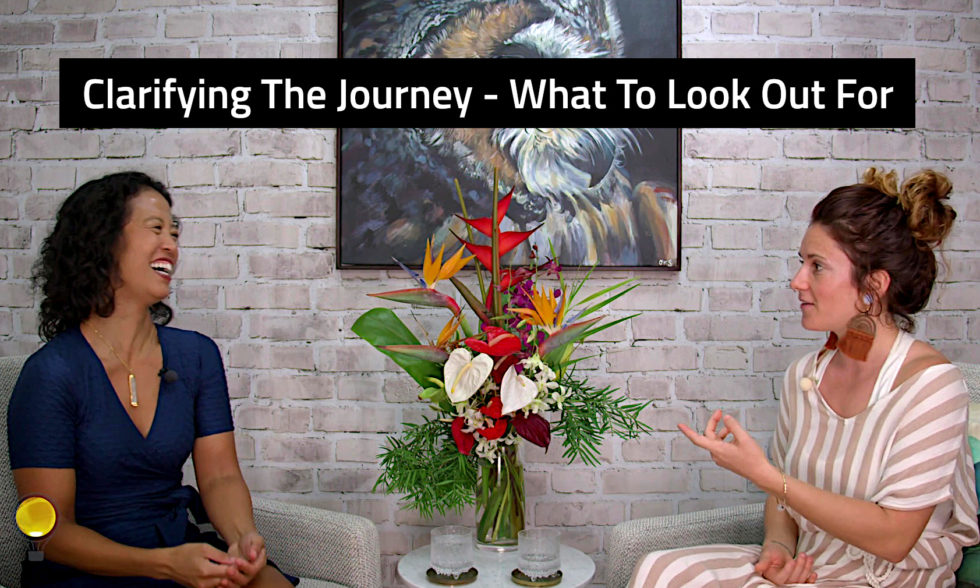 Episode 129: Clarifying The Journey - What To Look Out For - Spherical Luminosity